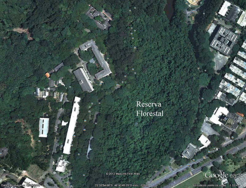 A reserva - IB | Instituto de Biociências | Universidade de São Paulo | USP