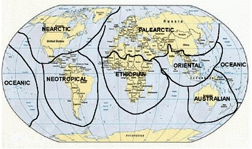Biogeografia Neotropical - IB | Instituto de Biociências | Universidade ...