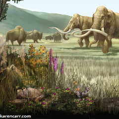 O homem e as extinções do Pleistoceno - IB | Instituto de Biociências ...